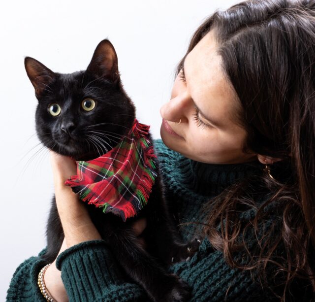 Primitives By Kathy | Home Décor. Gift Items. Seasonal.